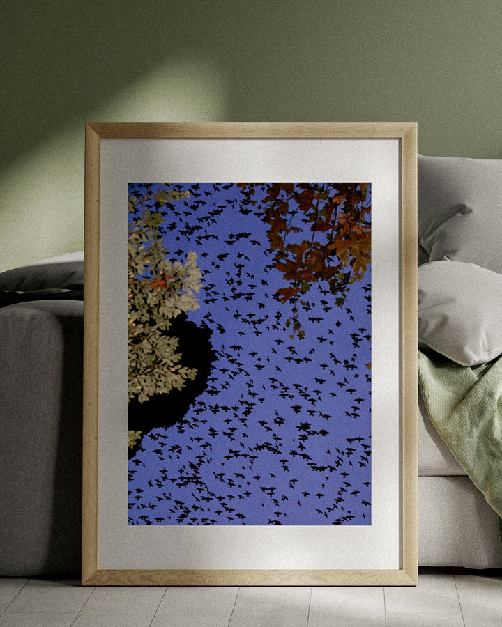 Fine Art Photo Prints Straight from the Camera, no photoshop – Sasha Elage