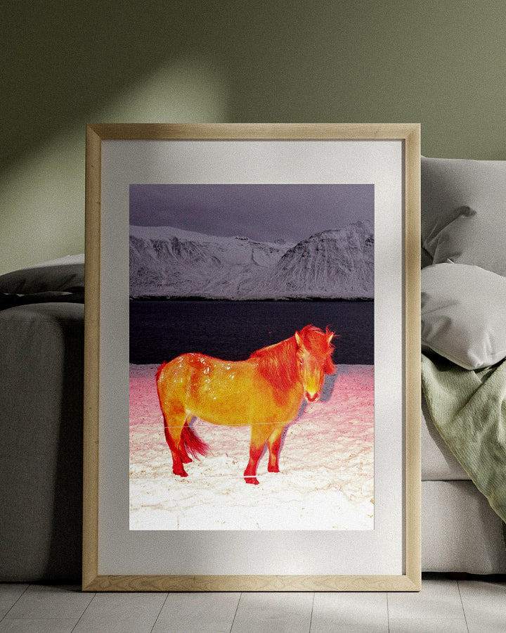 Fine Art Photo Prints Straight from the Camera, no photoshop – Sasha Elage