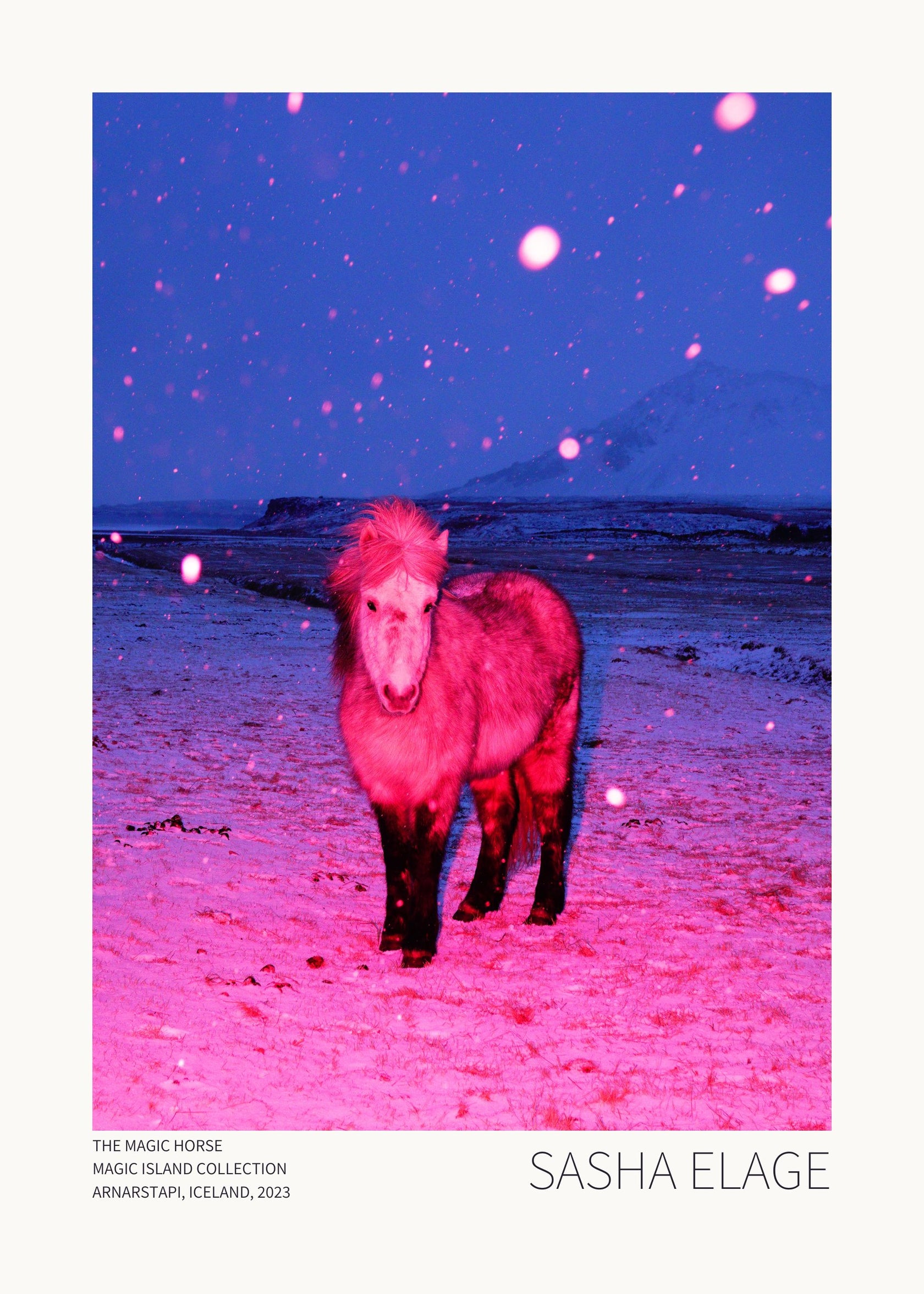 The Magic Horse – Sasha Elage