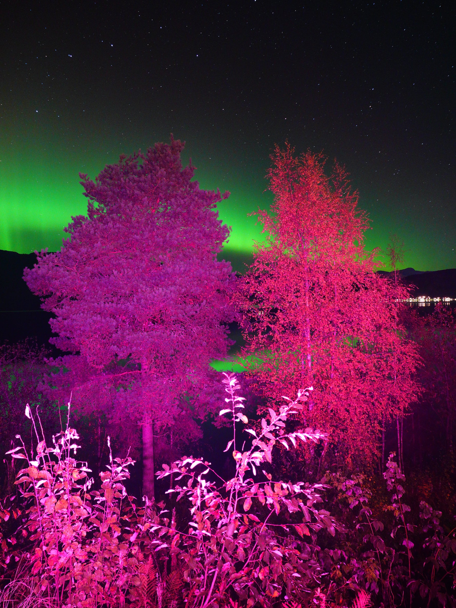 Fine Art Photo Prints Straight from the Camera, no photoshop – Sasha Elage