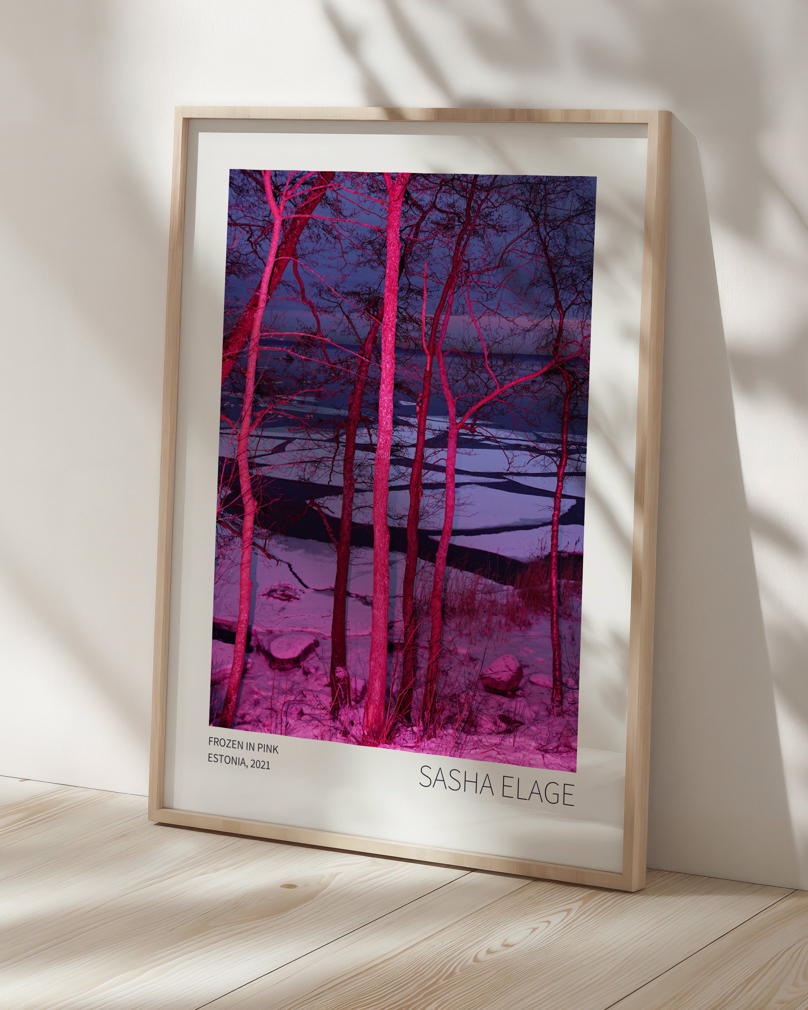 Frozen in Pink – Sasha Elage